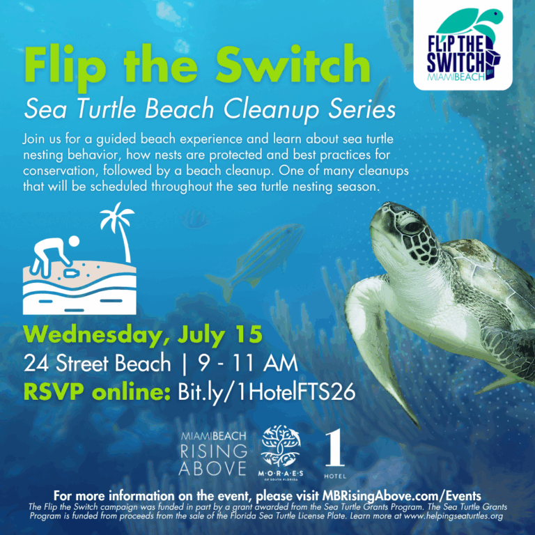 Flip the Switch: Sea Turtle Beach Cleanup - City of Miami Beach